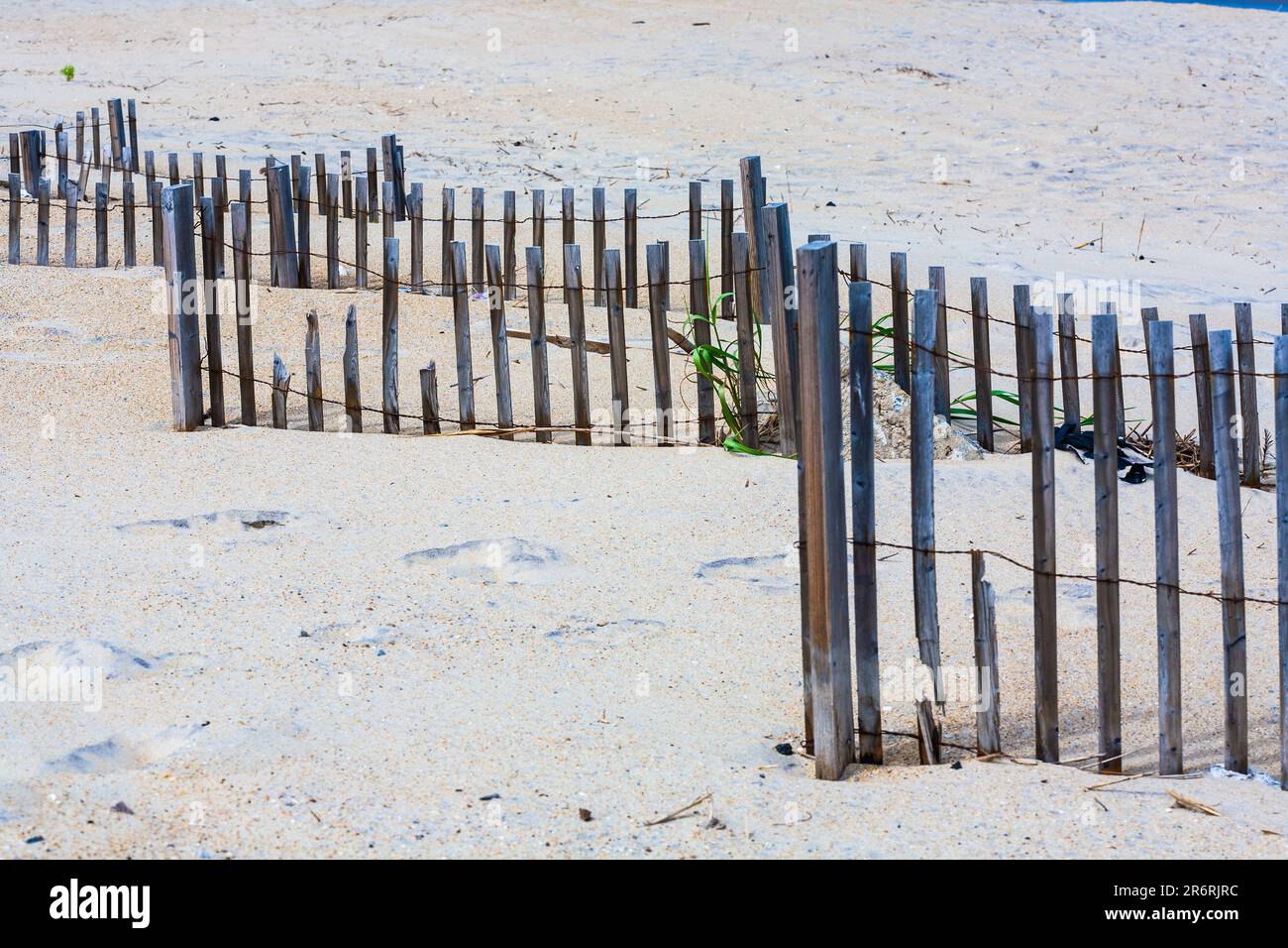 Sand Dune Fence at the beach to save the nature Stock Photo - Alamy