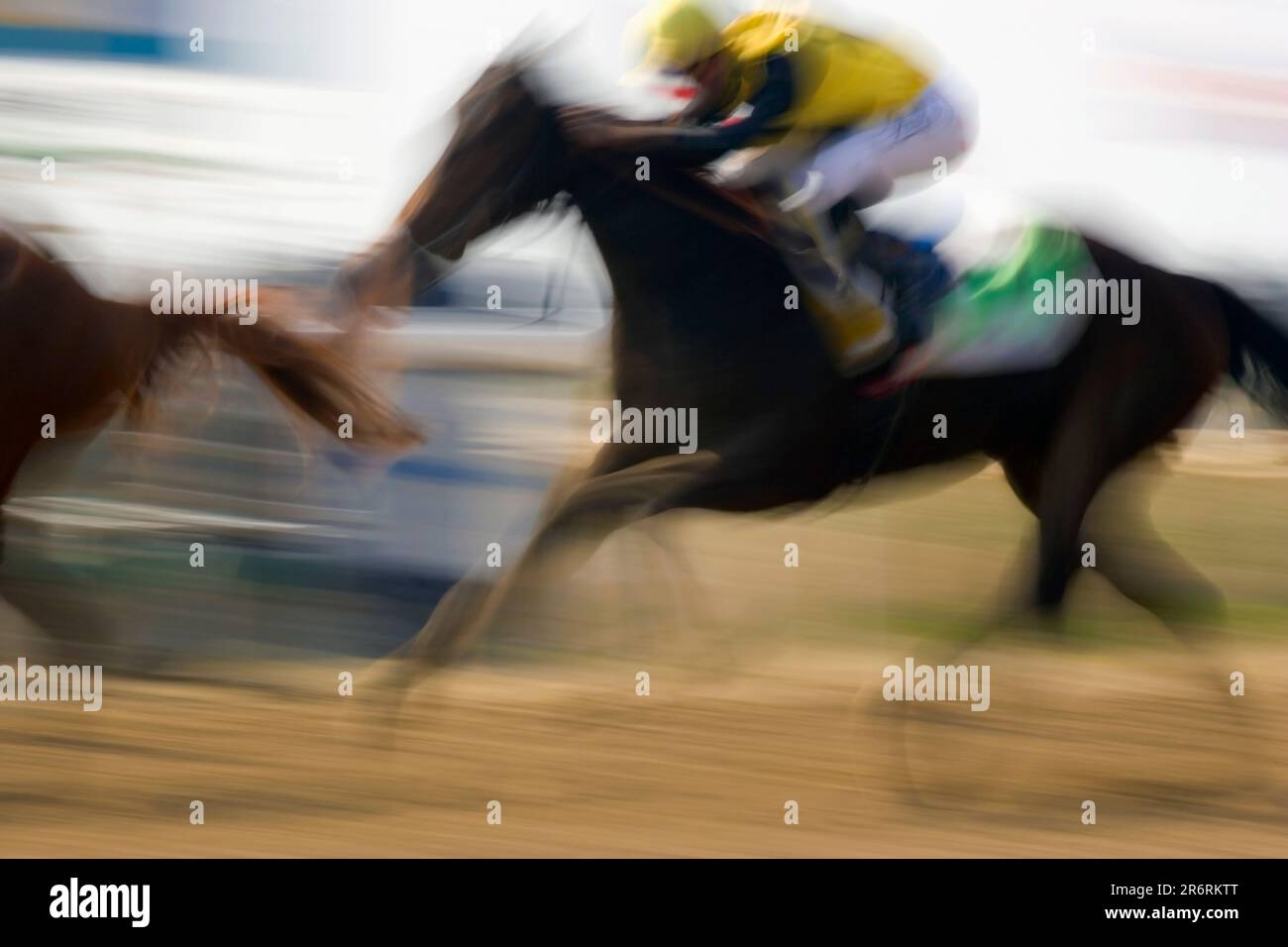 Race horses at speed Stock Photo - Alamy
