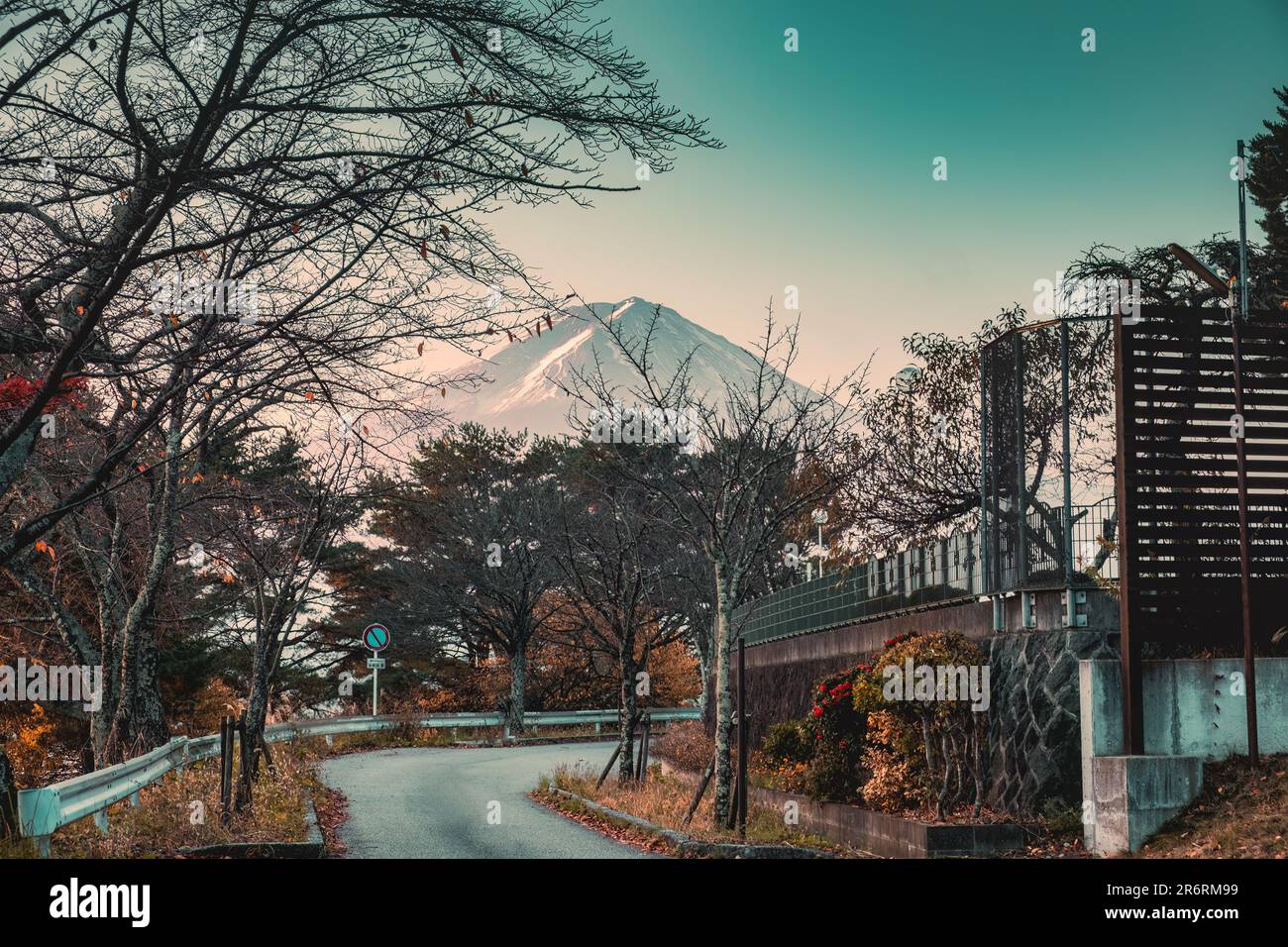 Mount Fuji with wither tree garden in autumn on morning at Kawaguchiko ...