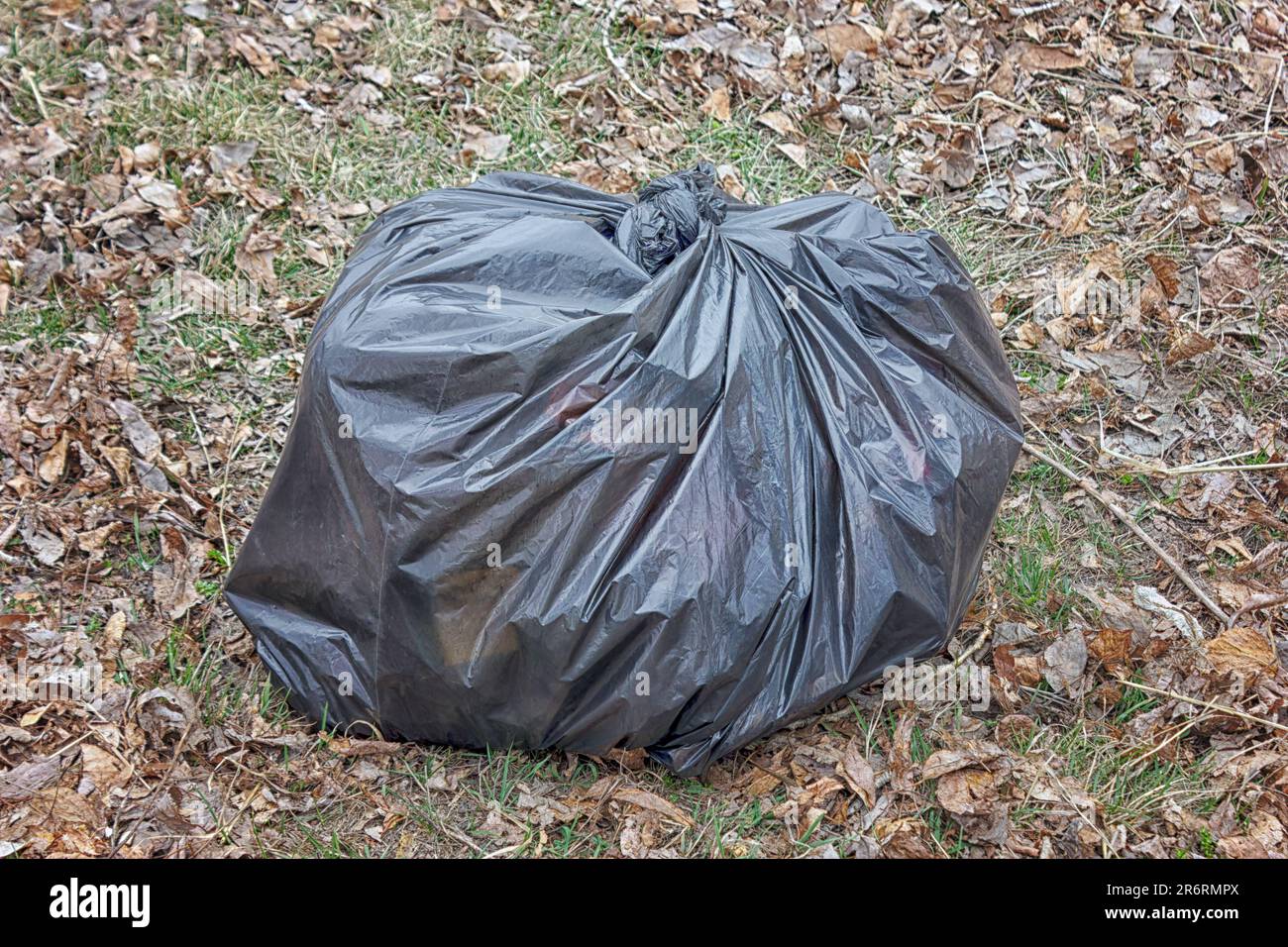 A bag of black garbage on the background of a lawn close-up. Cleaning ...
