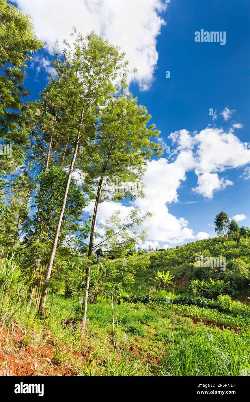 Agricultural landscape in a beautiful valley in the green highlands ...