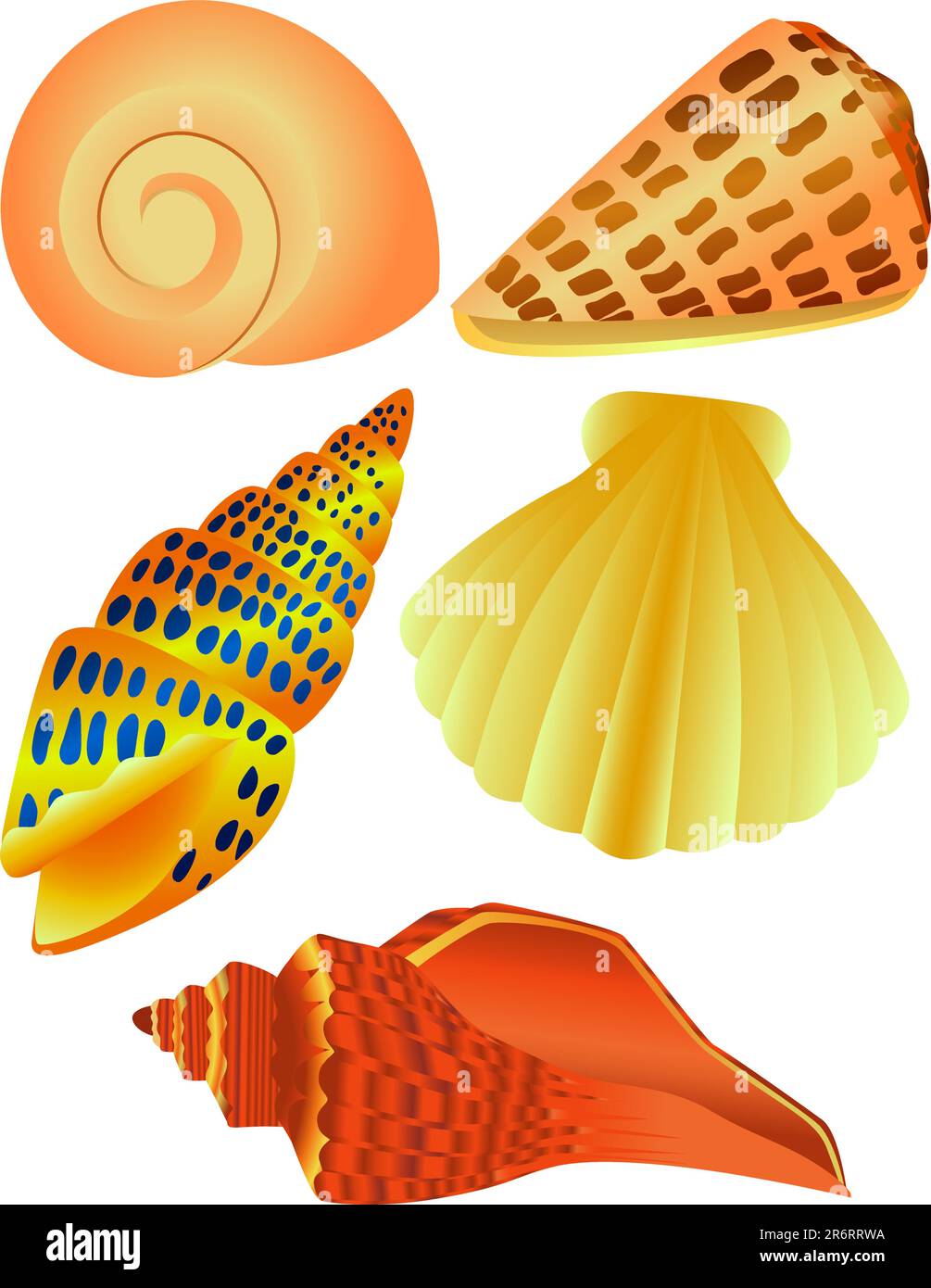 Shell beach life Stock Vector Images - Alamy