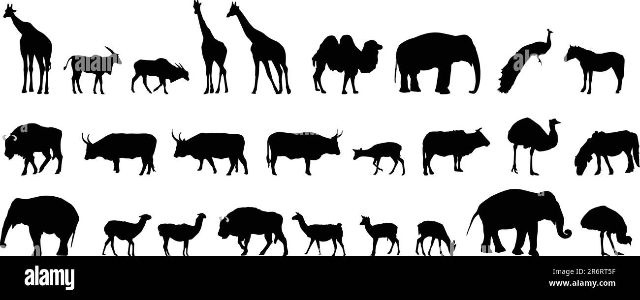 various animals silhouettes Stock Vector Image & Art - Alamy