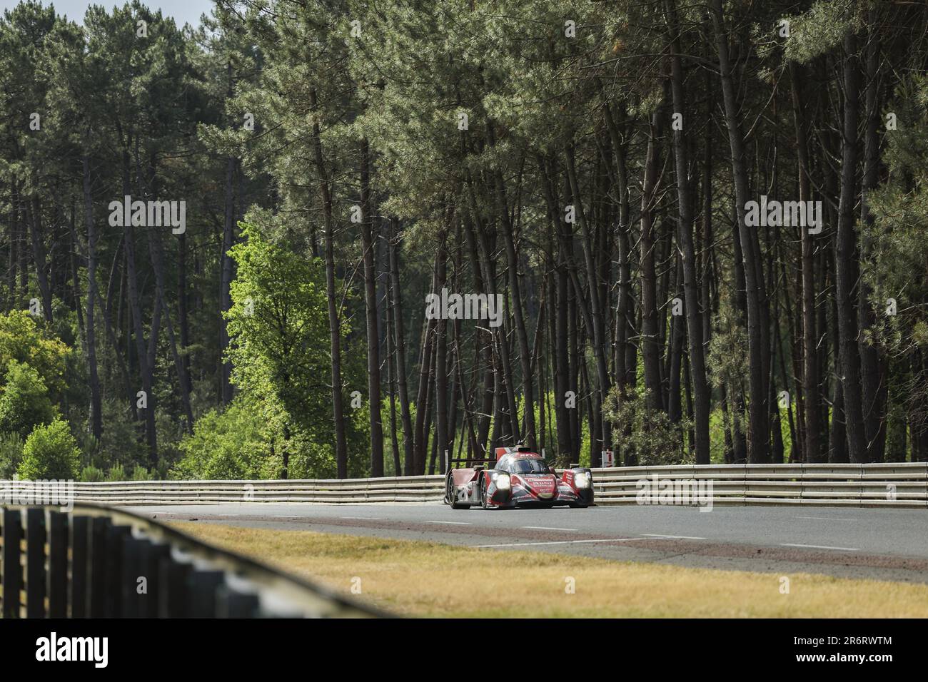 31 GELAEL Sean (idn), HABSBURG-LOTHRINGEN Ferdinand (aut), FRIJNS Robin ...