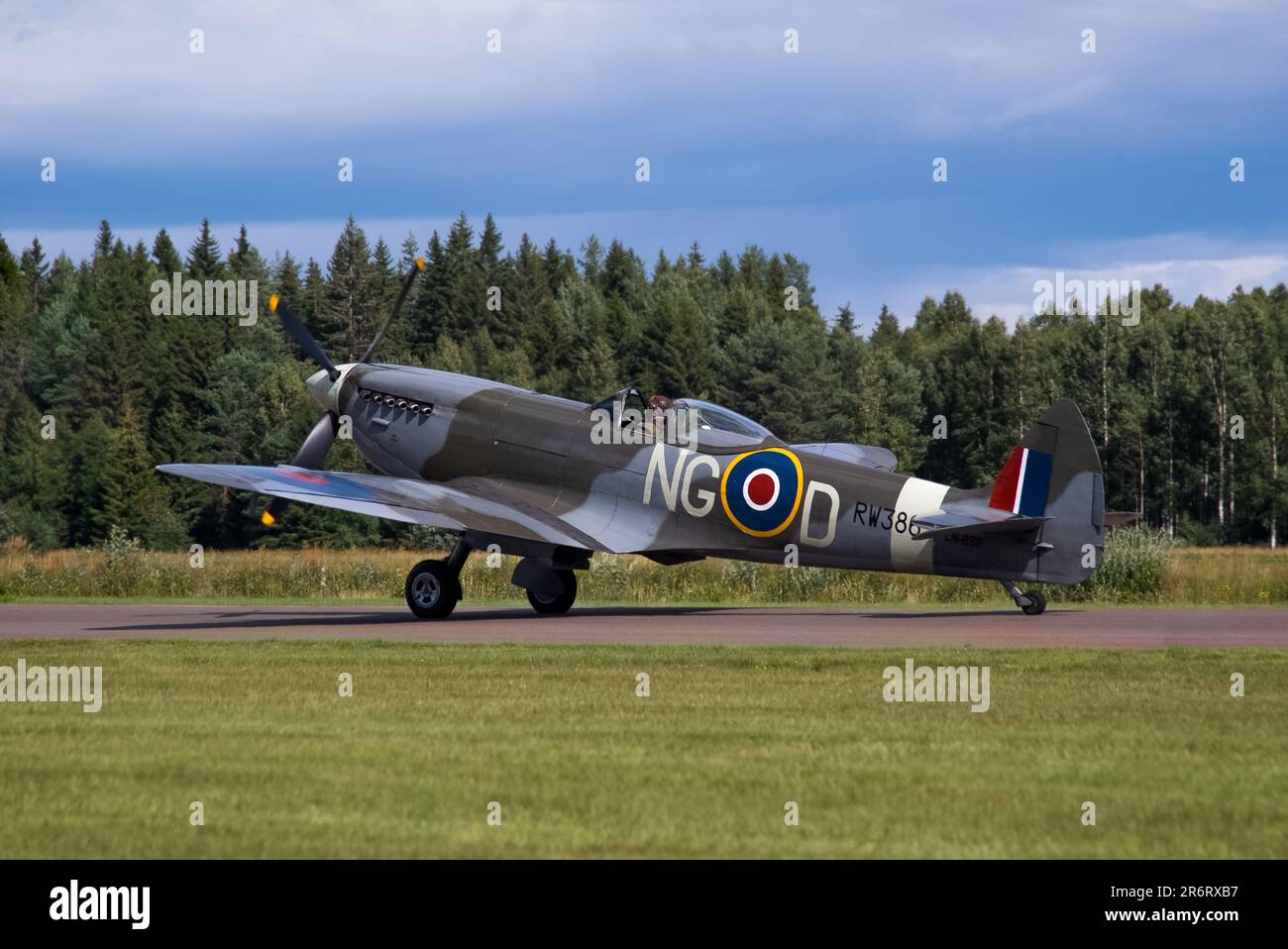Stands of plane trees hi-res stock photography and images - Alamy