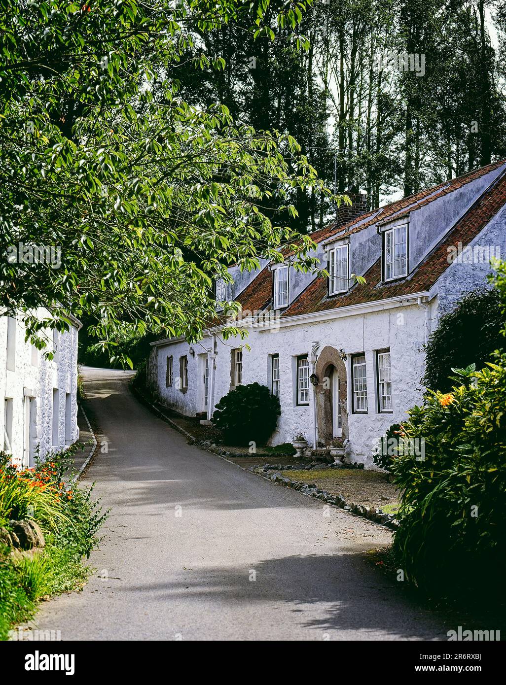 Quaint street on the island of Guernsey Stock Photo - Alamy