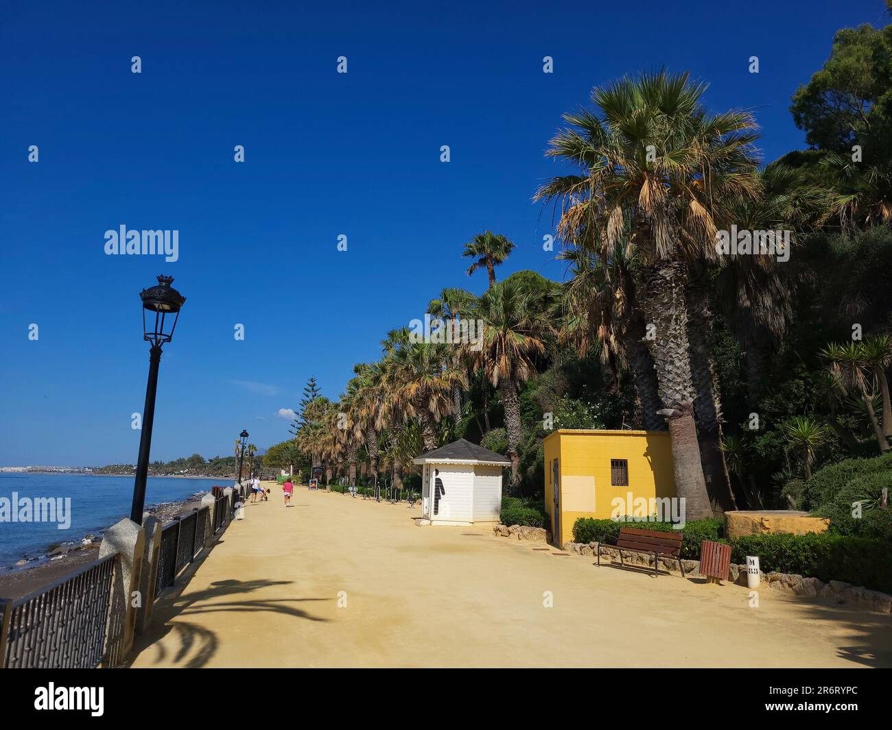 Promenade with palm trees in Marbella, Spain Stock Photo - Alamy