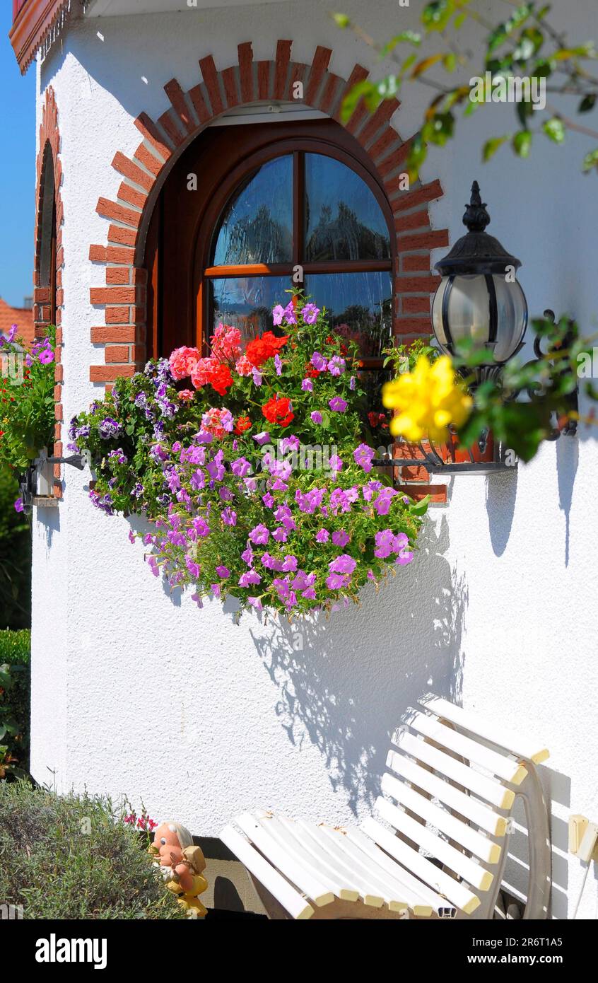 Decorative arched window hi-res stock photography and images - Alamy
