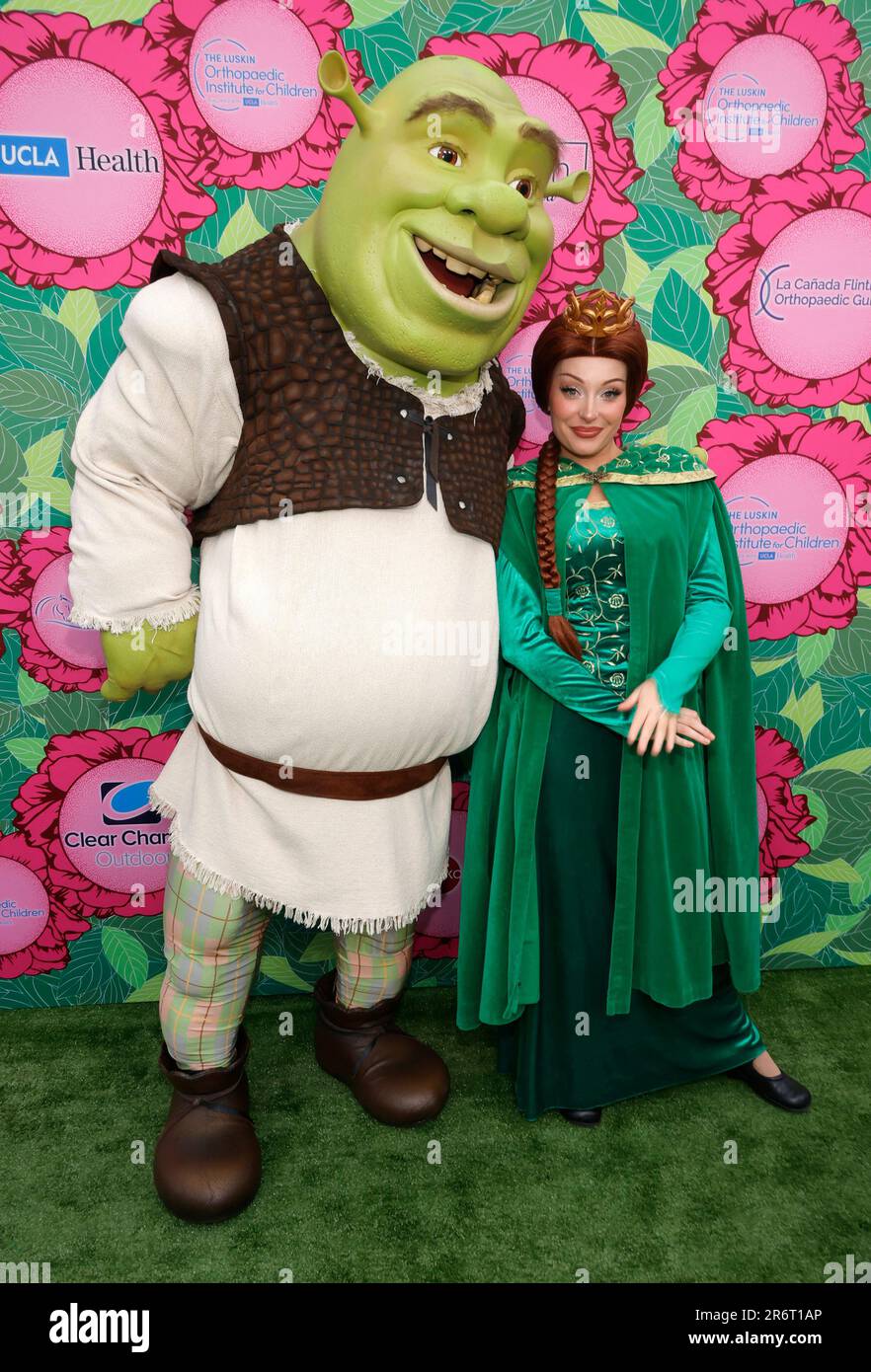 Princess Fiona Universal Studios