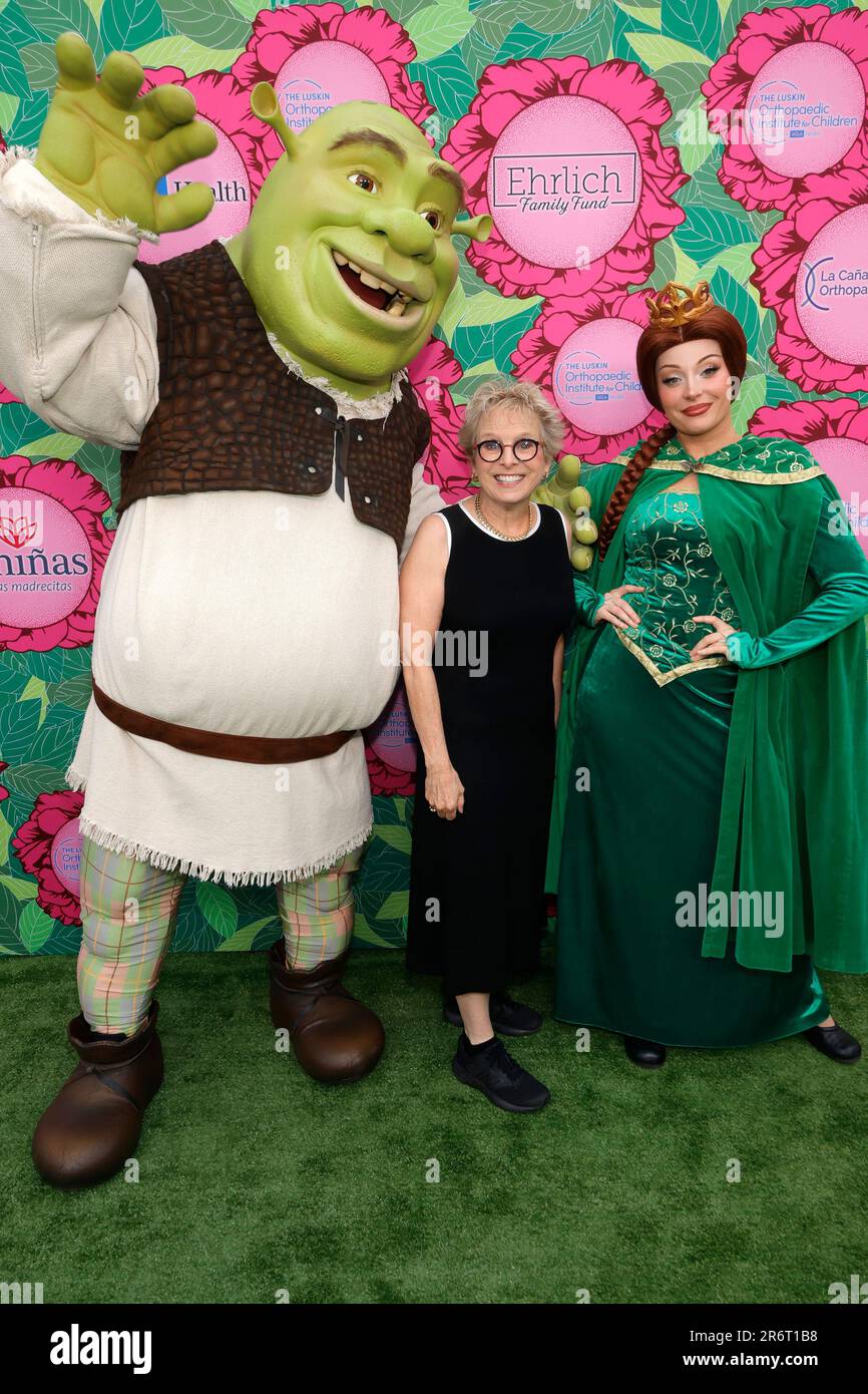 Shrek And Fiona Kids