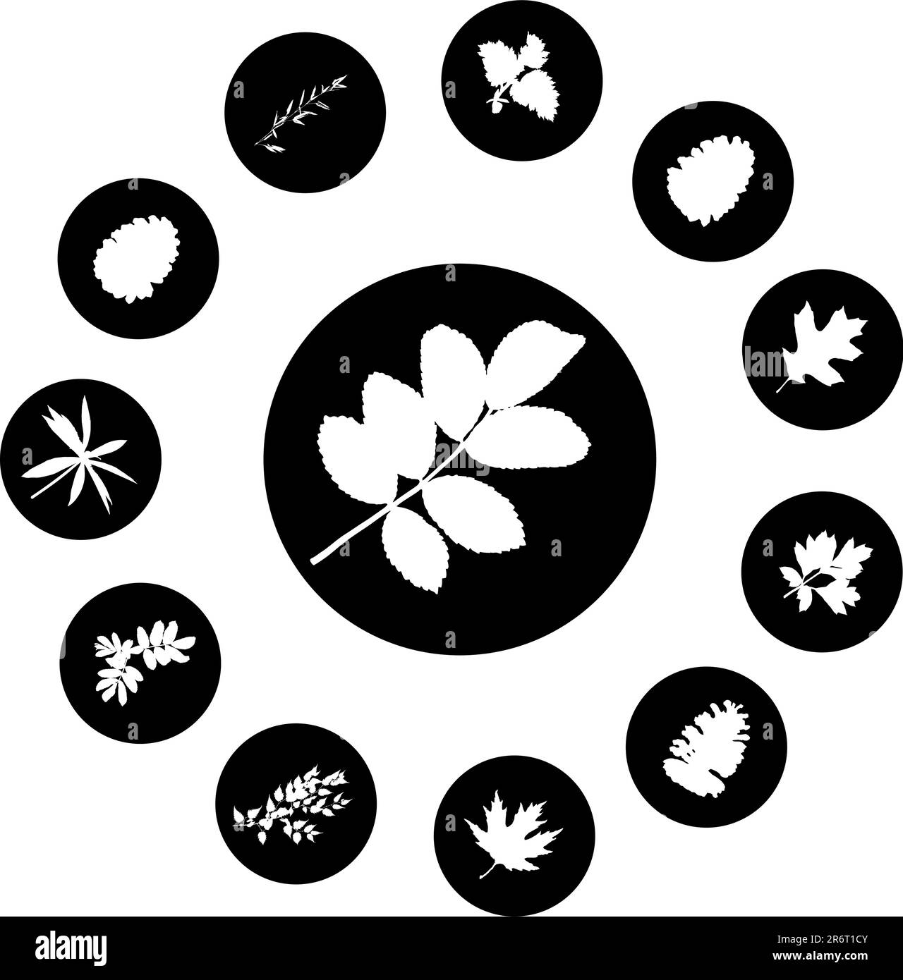 The set from silhouettes of leaves, is presented in the form of 12 ...