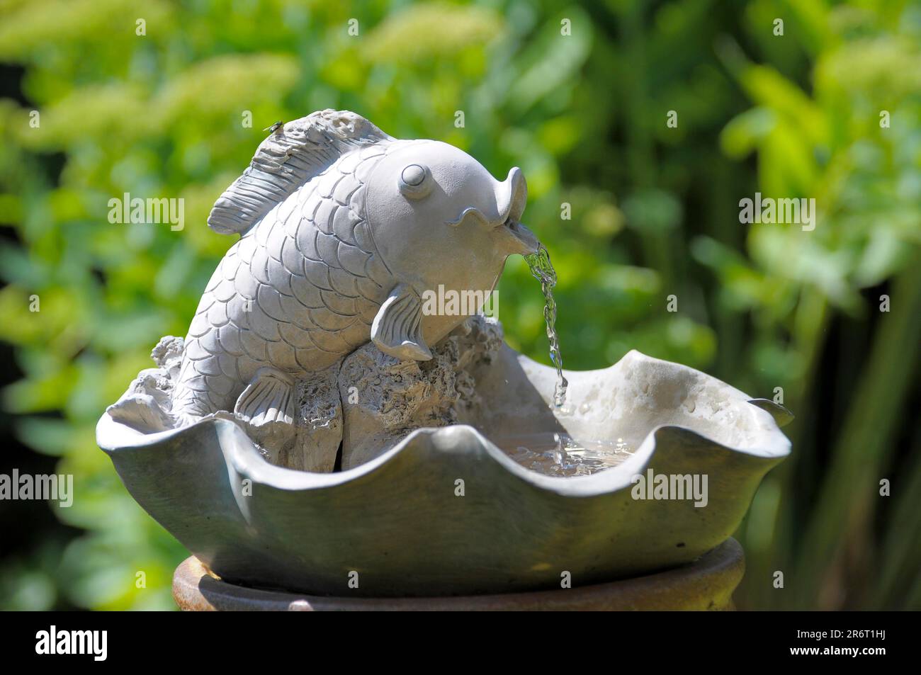 Small Garden Fountain in Fish Shape Stock Photo - Alamy