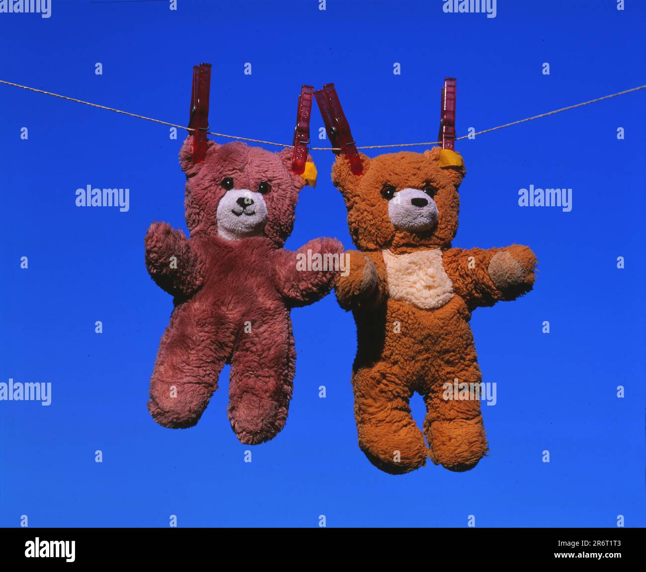Toy bear animal line hi-res stock photography and images - Alamy
