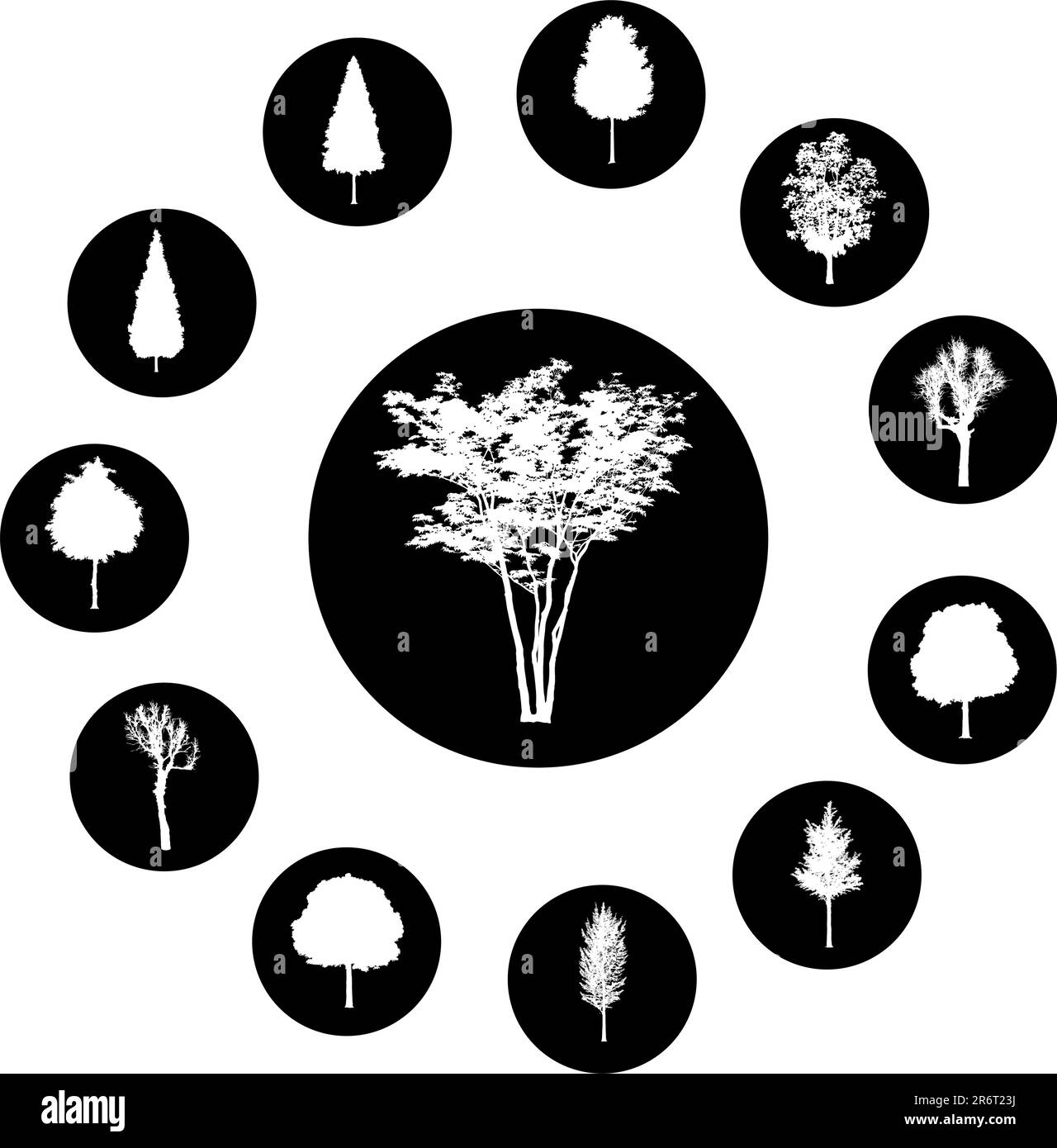 The set from silhouettes of trees, is presented in the form of 12 ...
