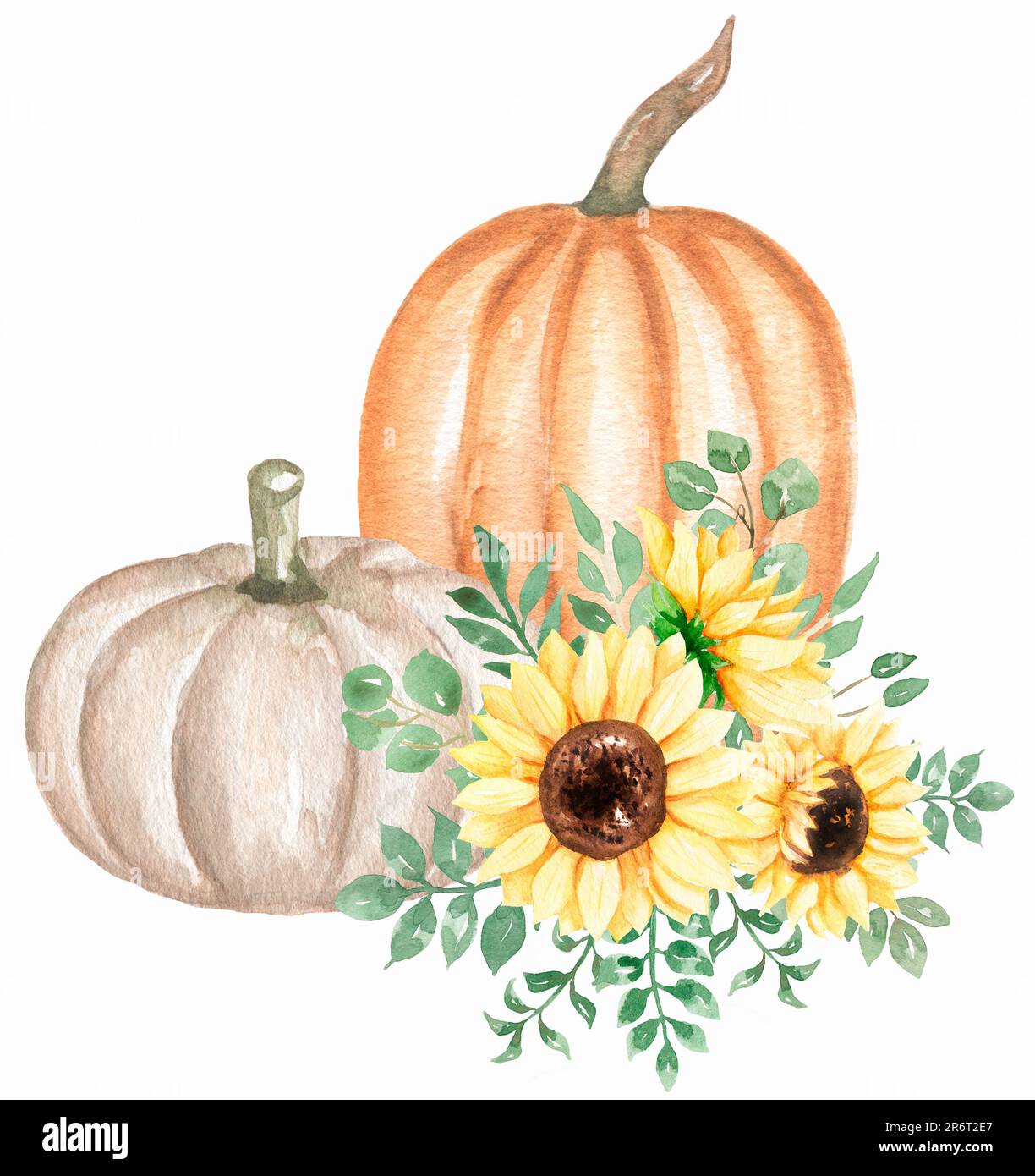 Watercolor hand drawn pumpkins and sunflower bouquet illustration ...