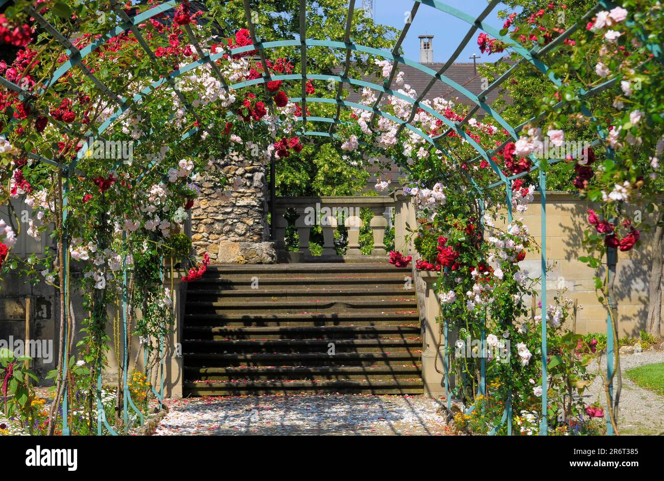 Ludwigsburg: flowering baroque, rose arch, landscape architecture Stock ...