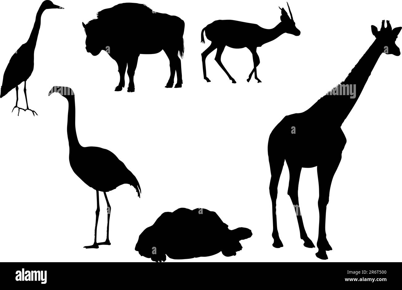 Black animals silhouette vector Stock Vector Image & Art - Alamy