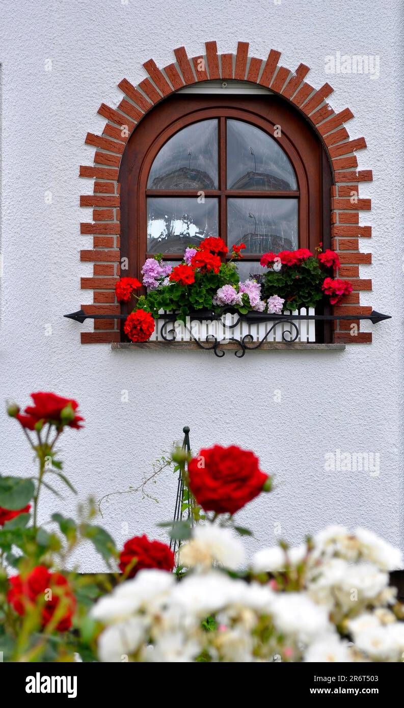 Garden with house, arched window with flowers, geraniums at the window ...