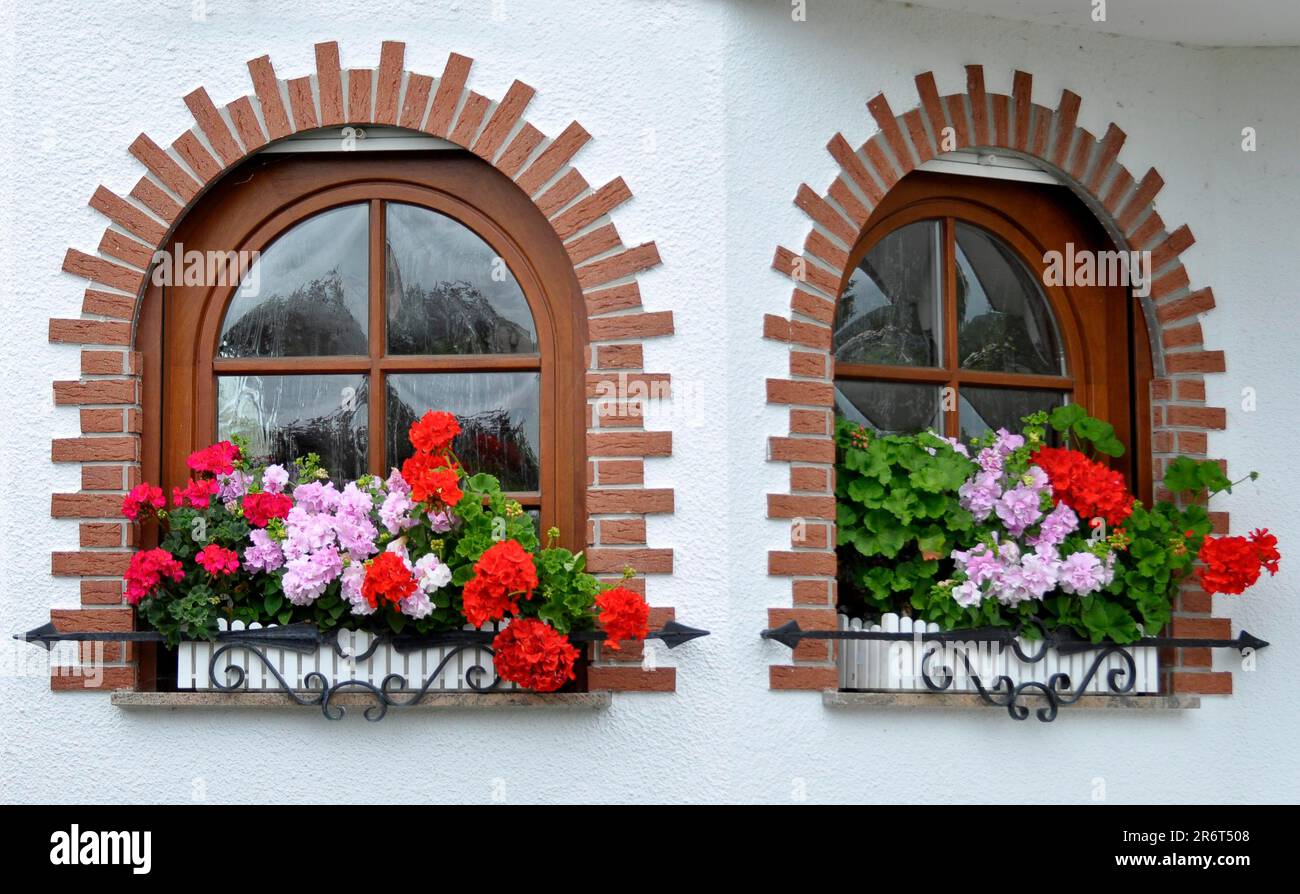 Garden with house, arched window with flowers, geraniums at the window ...