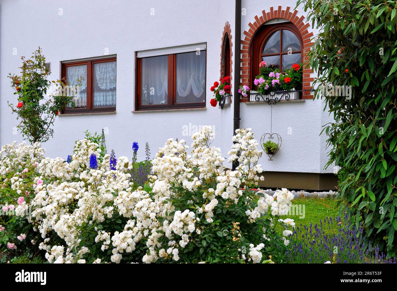 Garden with house, arched window with flowers, geraniums at the window ...