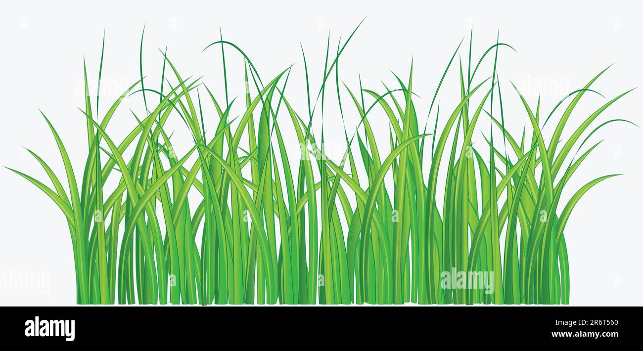 Vector illustration of Straight forward green grassy field Stock Vector ...