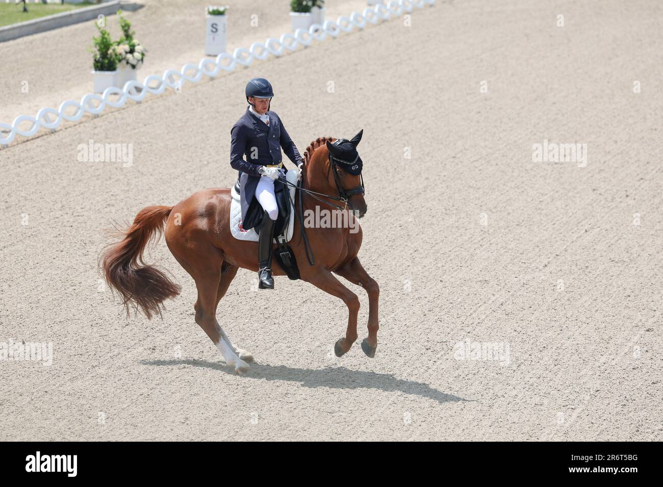 Destacado destacado hi-res stock photography and images - Alamy