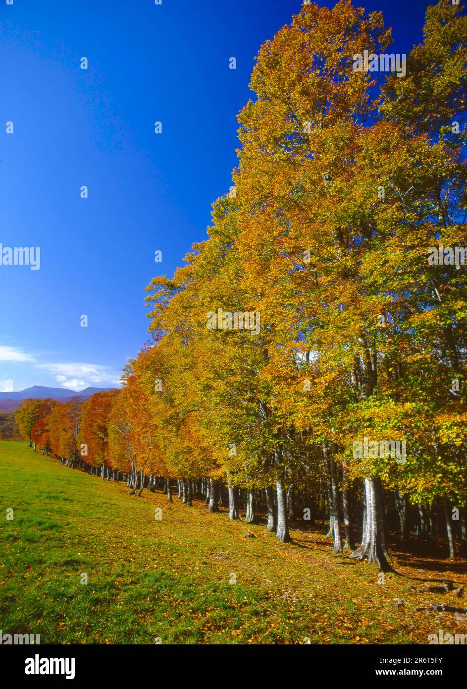 Japan mountain hi-res stock photography and images - Alamy