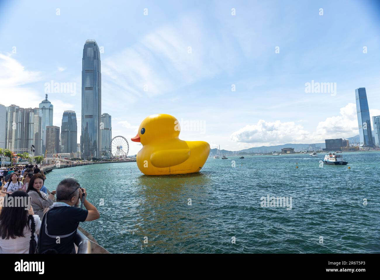 Hong Kong, Hong Kong. 10th June, 2023. "Double Duck" by Dutch artist ...