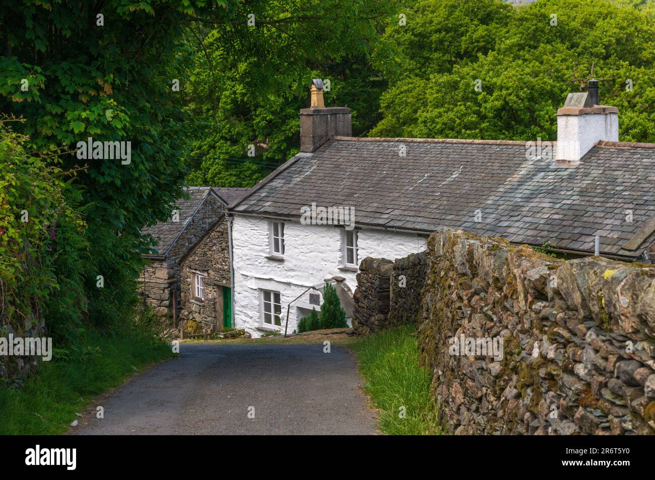 Oxen fell hi-res stock photography and images - Alamy