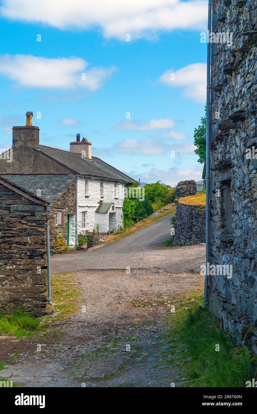 Oxen fell hi-res stock photography and images - Alamy