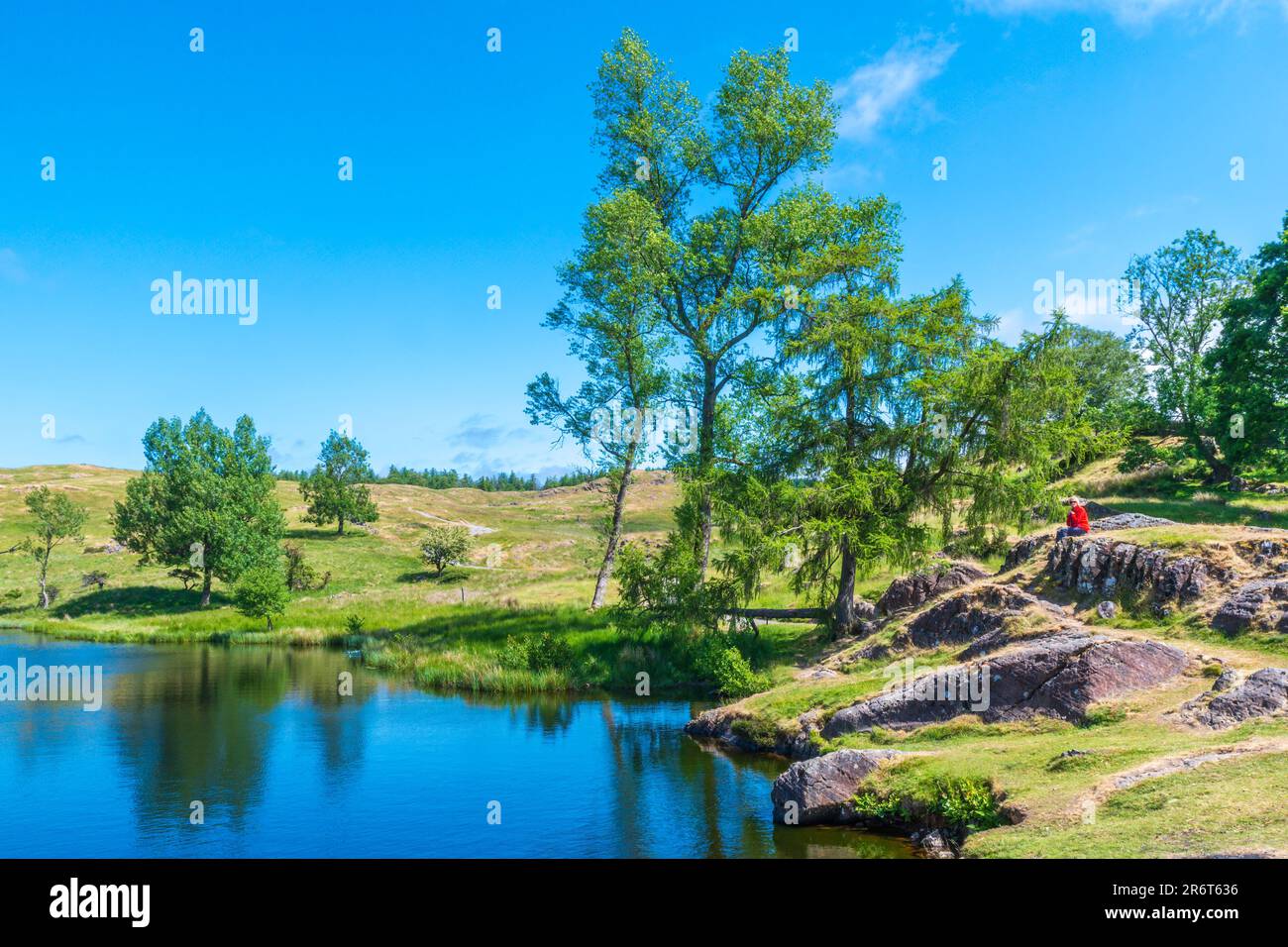 Moss Eccles tarn on Claife Heights, Far Sawrey, Cumbria Stock Photo - Alamy