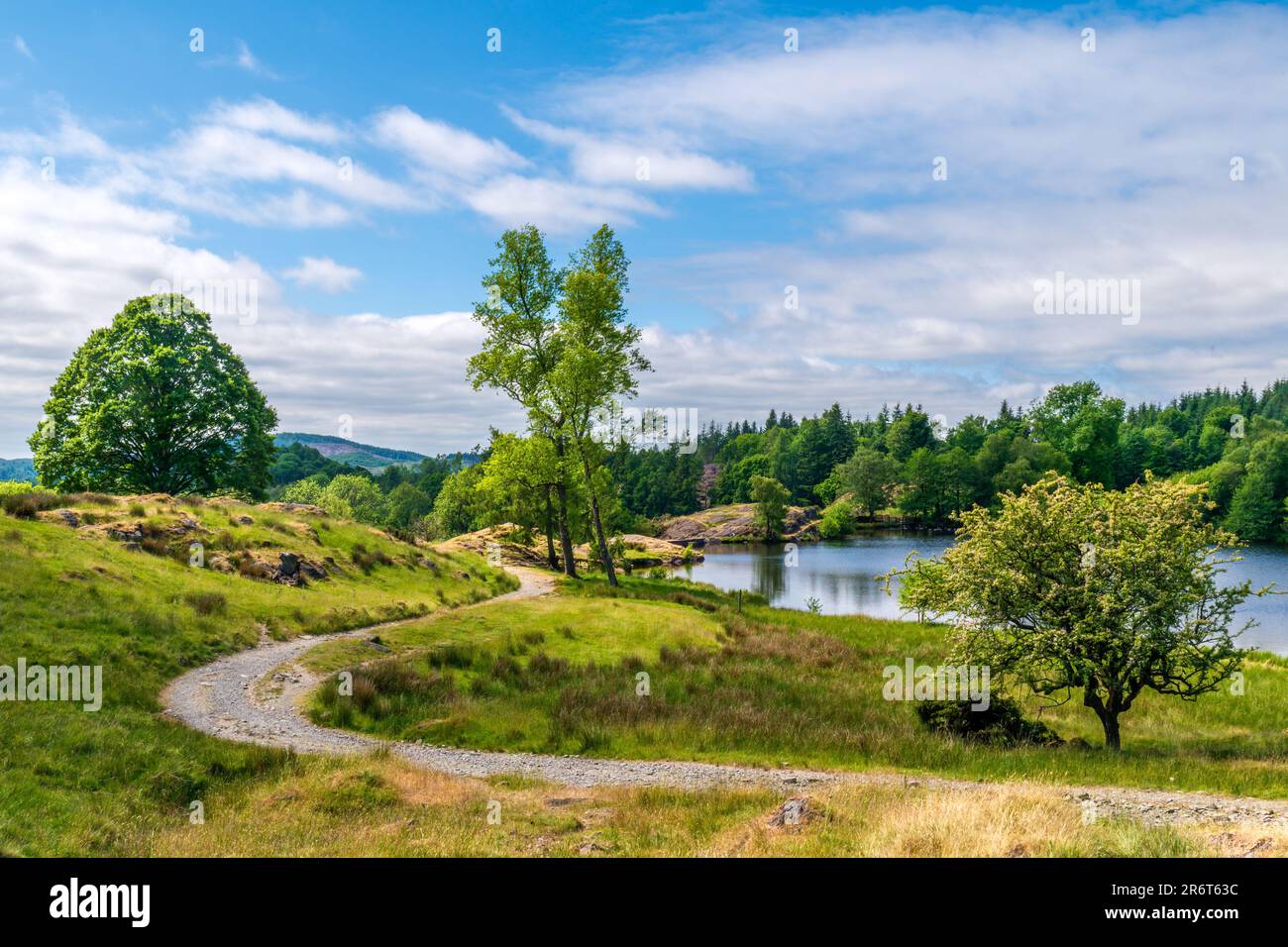 Moss Eccles tarn on Claife Heights, Far Sawrey, Cumbria Stock Photo - Alamy