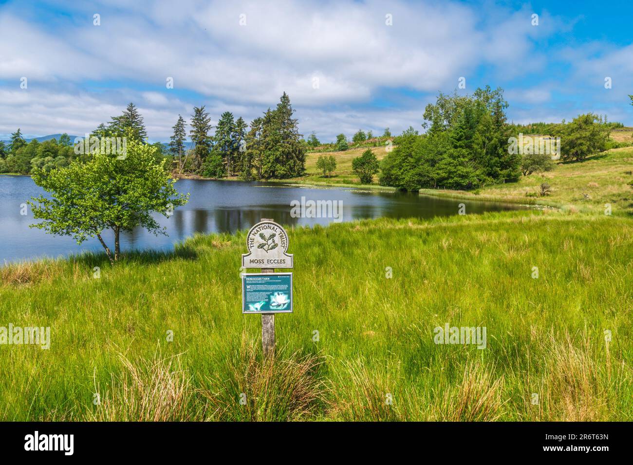 Moss Eccles tarn on Claife Heights, Far Sawrey, Cumbria Stock Photo - Alamy