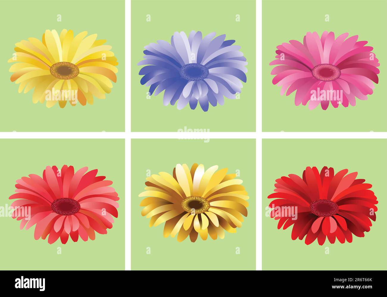 gerbera floral set Stock Vector Image & Art - Alamy