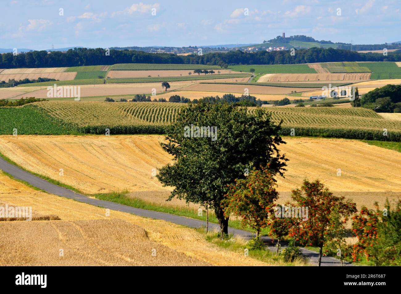 Sternenfels hi-res stock photography and images - Alamy