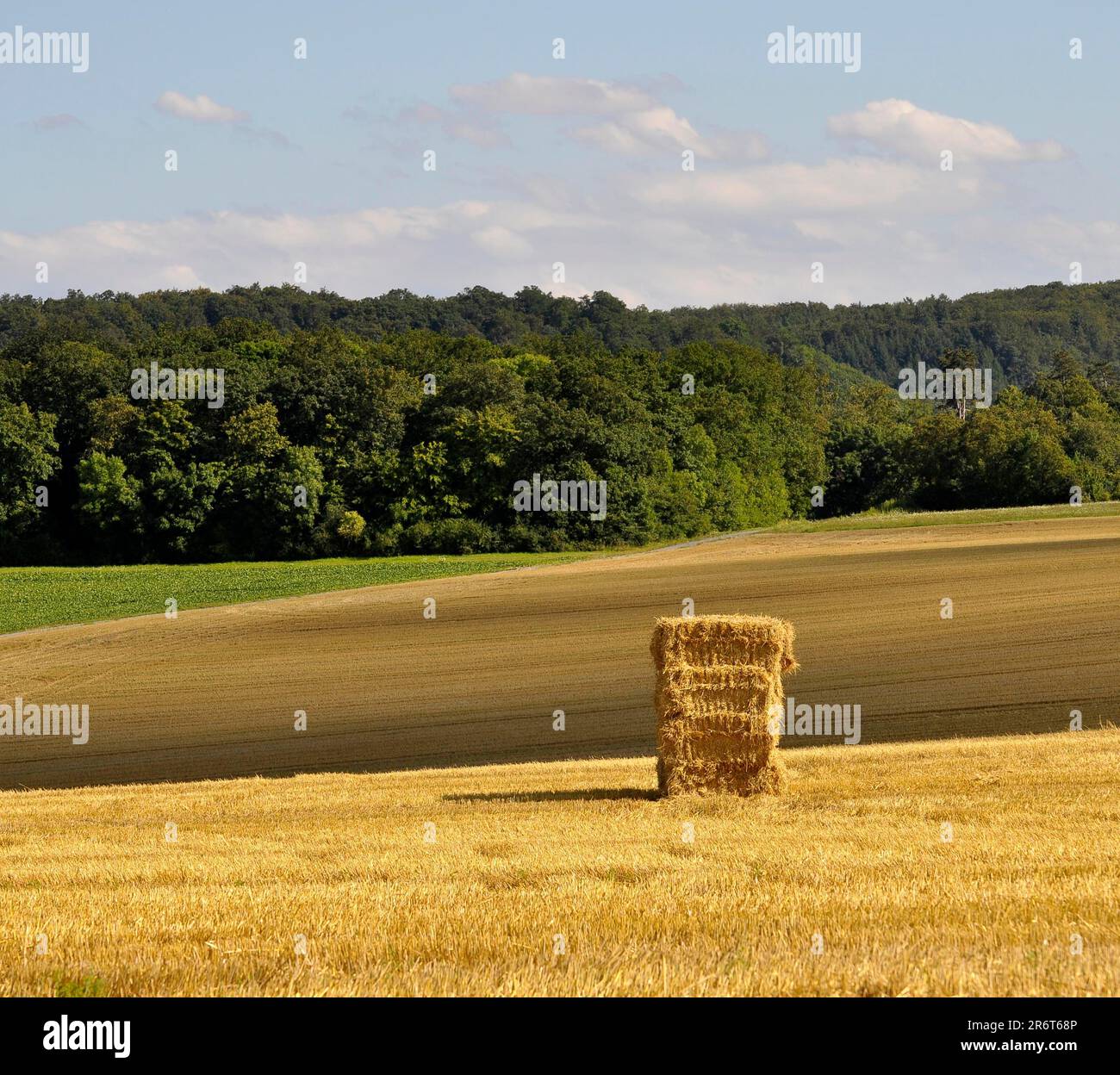 Square straw bales on the stubble field Kraichgau Stock Photo - Alamy
