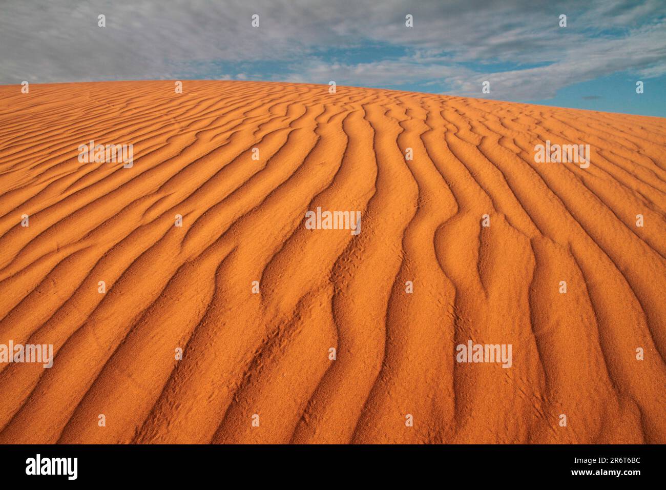 Linear Dune