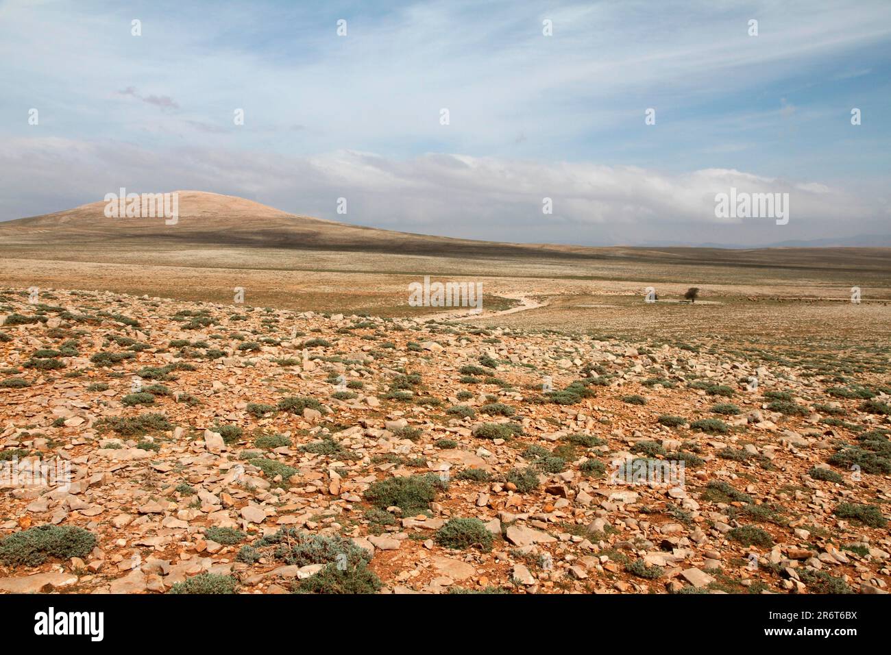 Lonely plateau in the Middle Atlas south of Azrou Morocco Stock Photo ...