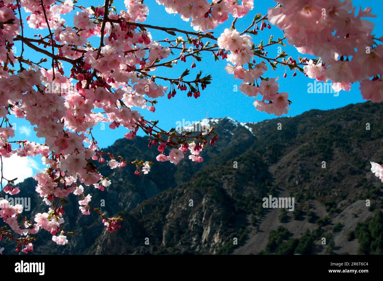 Snow mountains in andorra hi-res stock photography and images - Alamy
