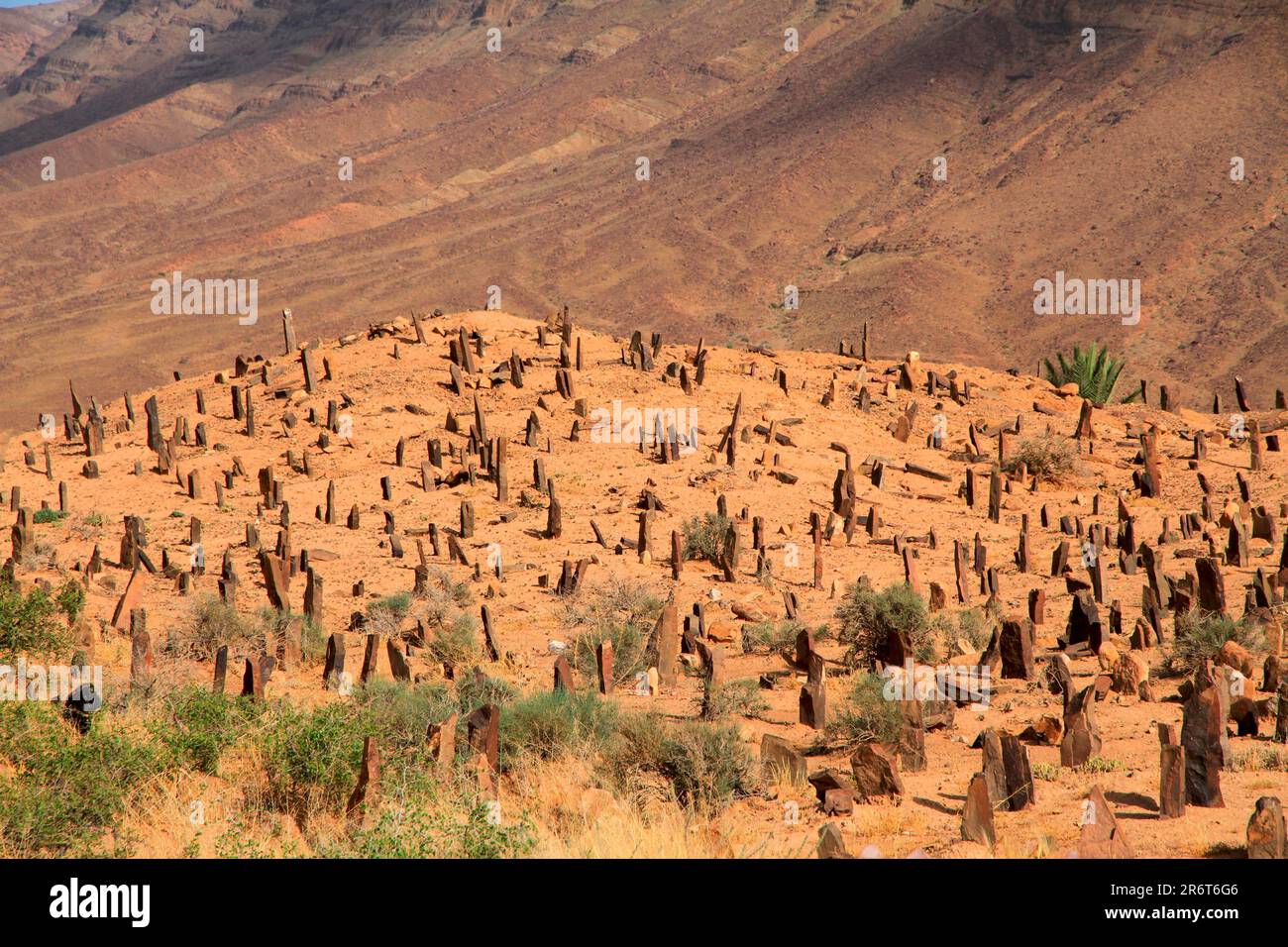 African cemetery hi-res stock photography and images - Alamy