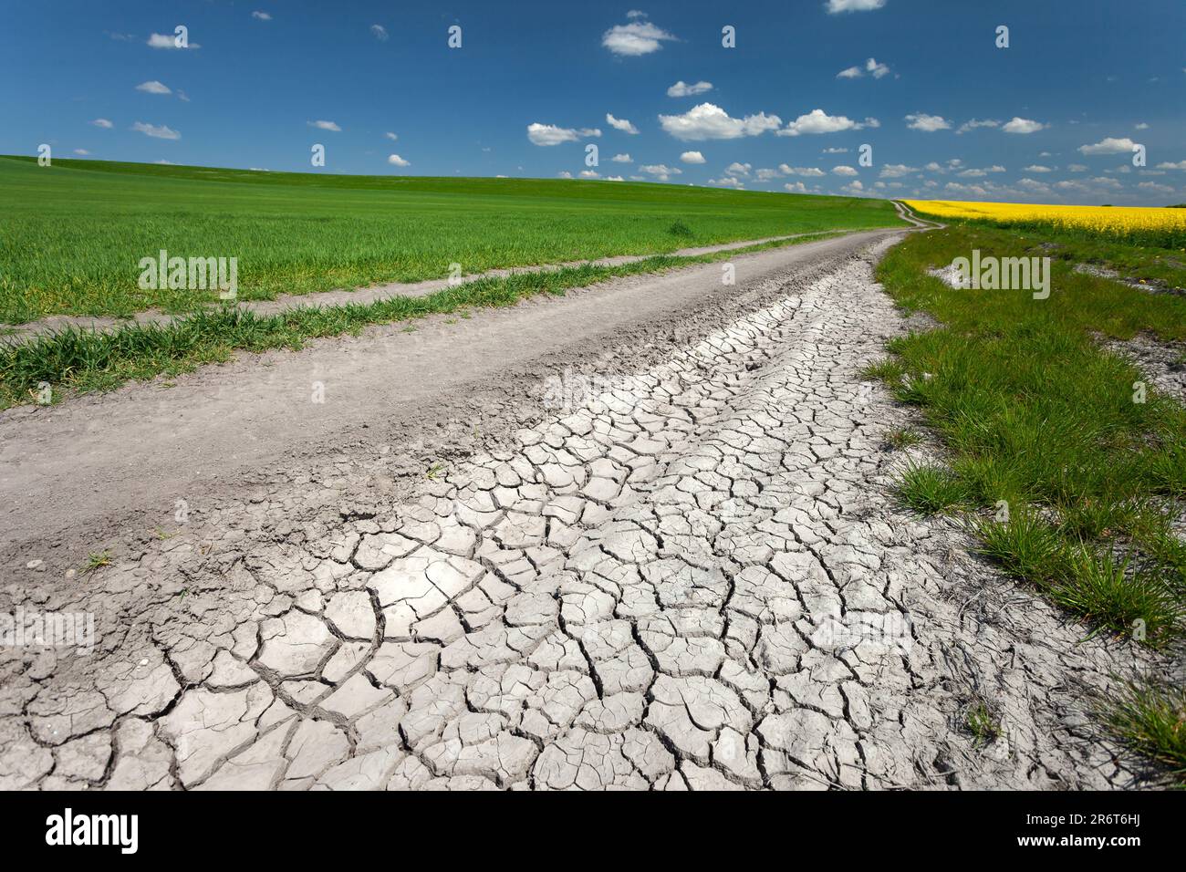 Dry Farmland