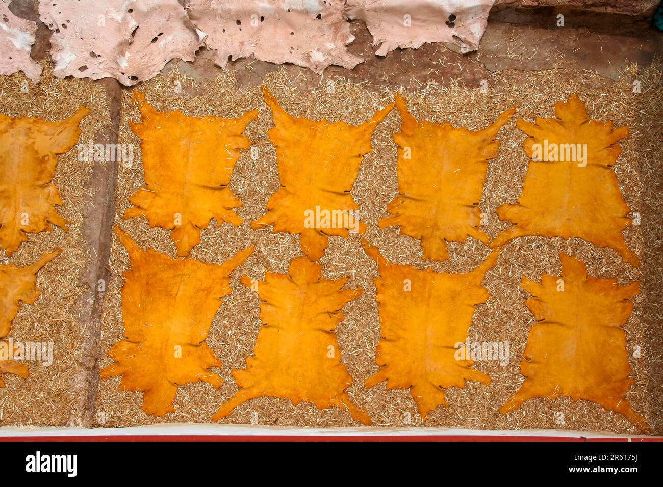Dyed animal skins in a tannery in the old town of Fez Morocco Stock ...
