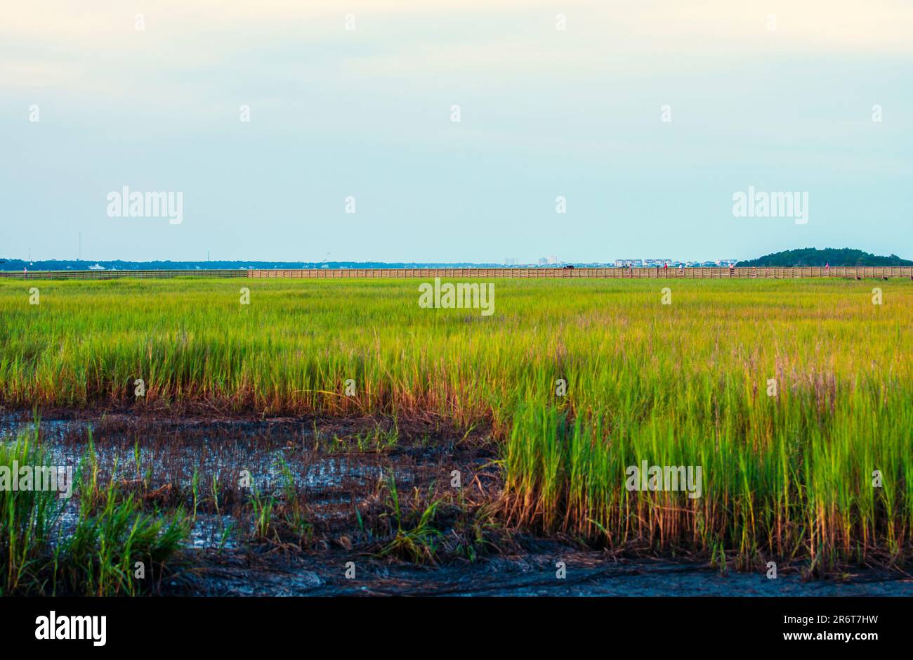 Variety in backgrounds and southern climate changes the landscapes ...