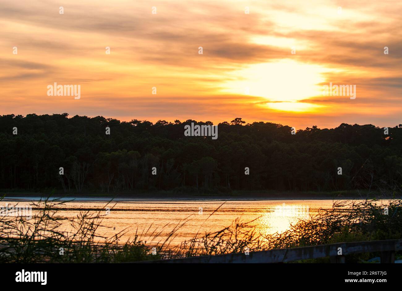 Variety in backgrounds and southern climate changes the landscapes ...