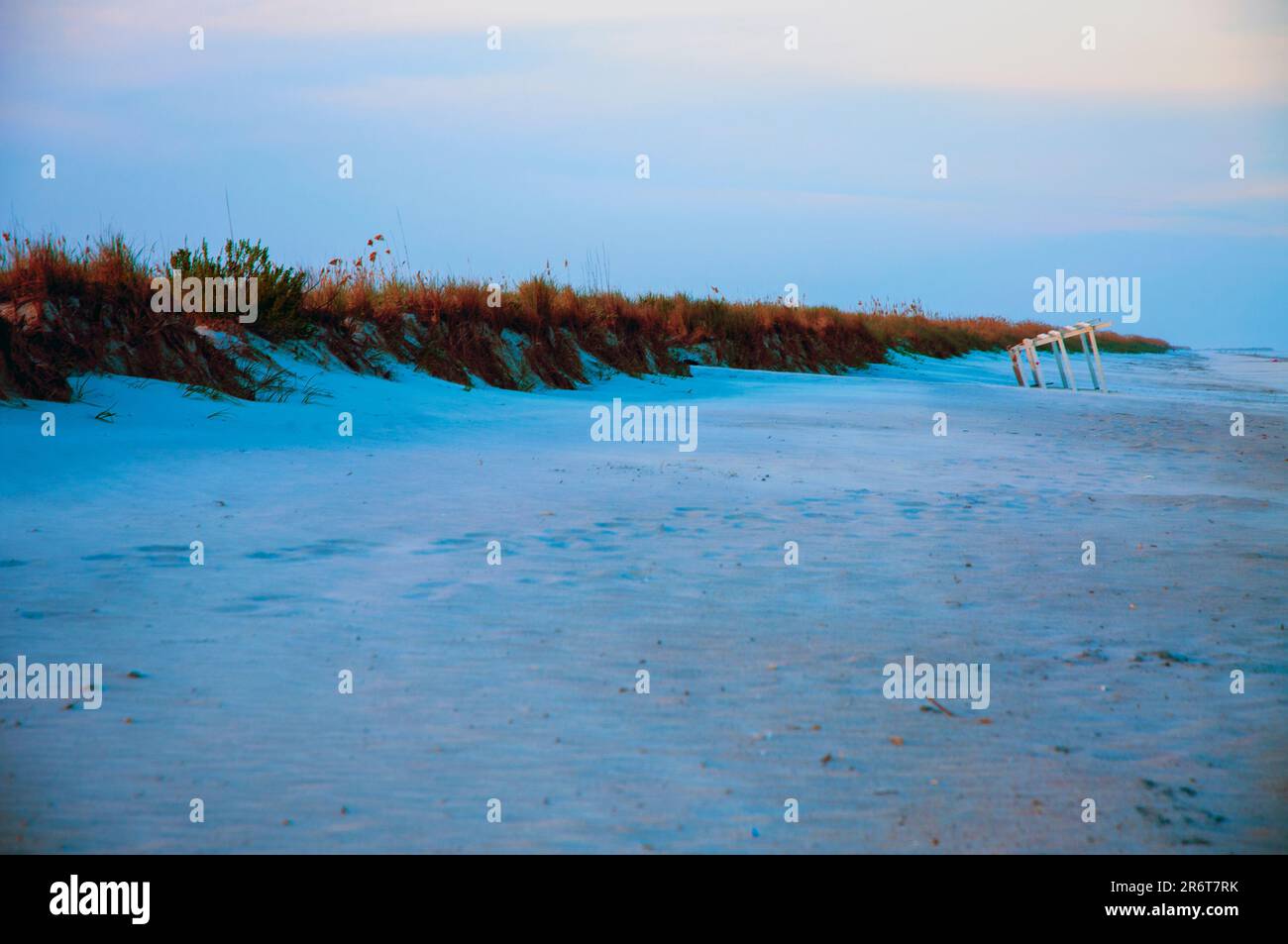 Variety in backgrounds and southern climate changes the landscapes ...