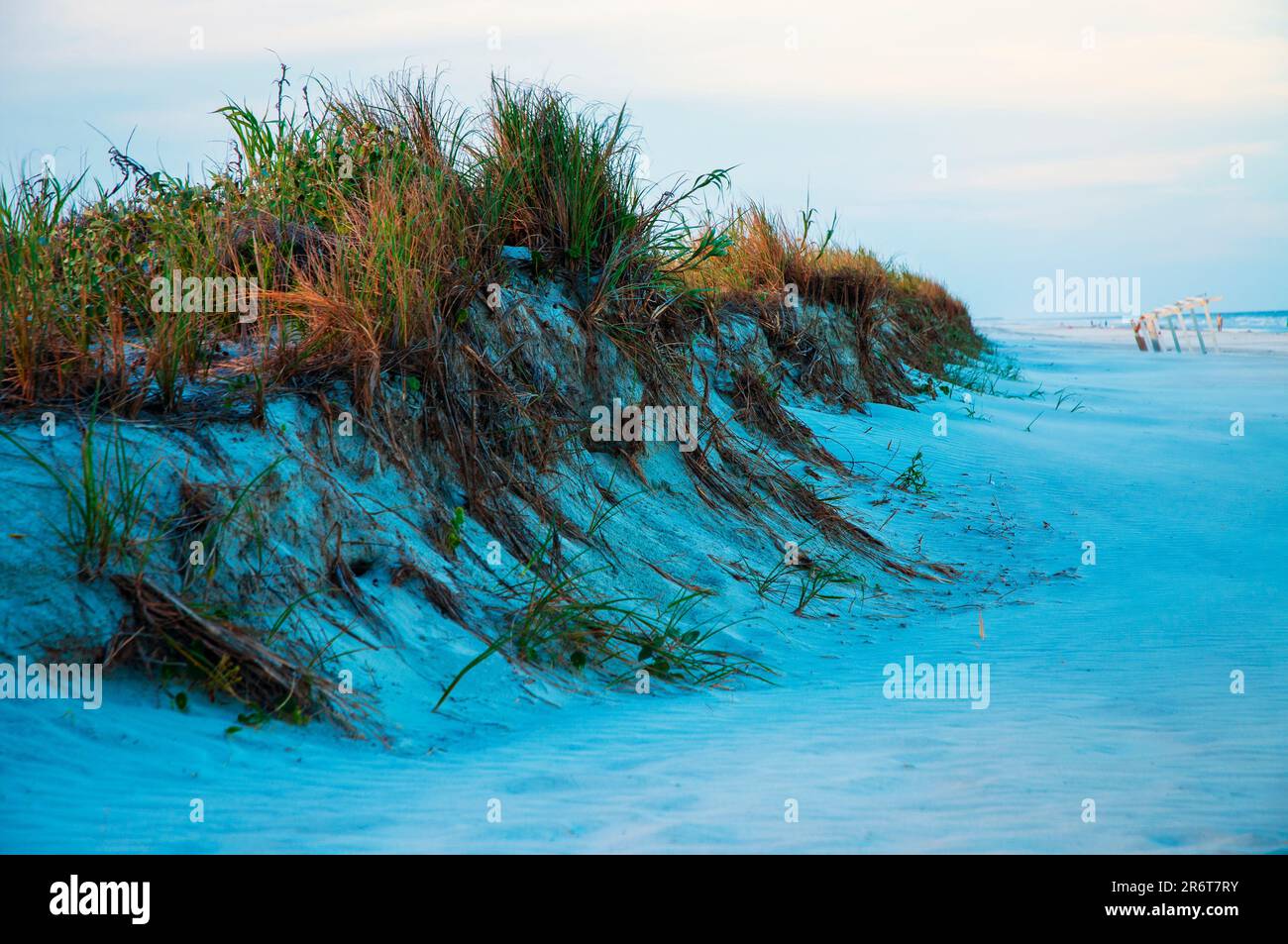 Variety in backgrounds and southern climate changes the landscapes ...