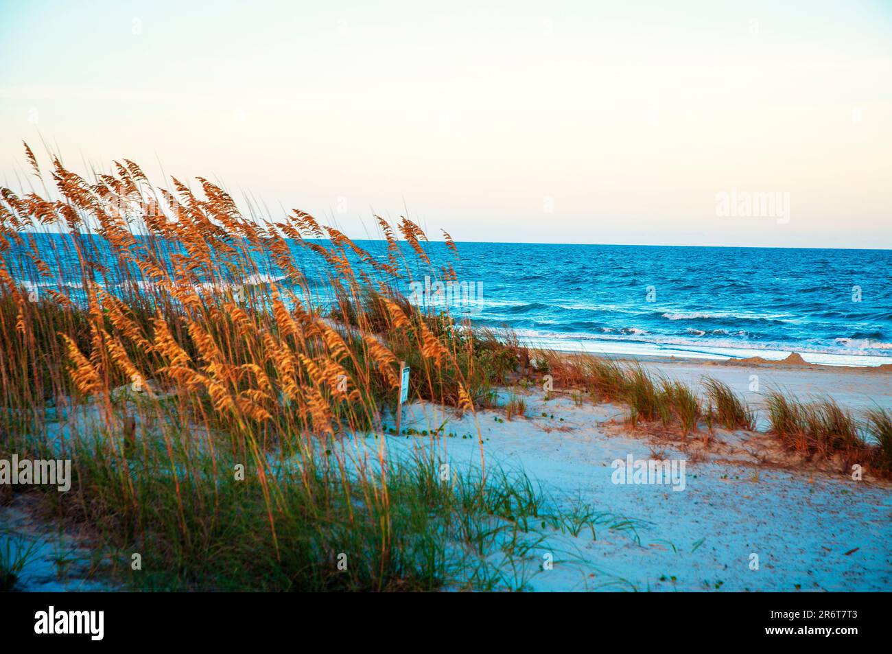 Variety in backgrounds and southern climate changes the landscapes ...