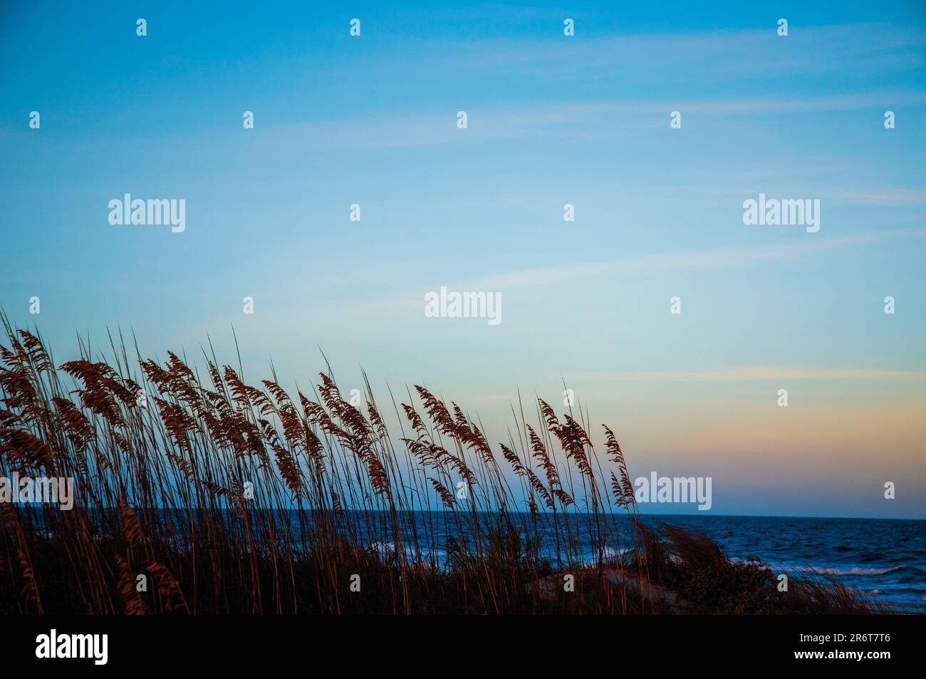 Variety in backgrounds and southern climate changes the landscapes ...