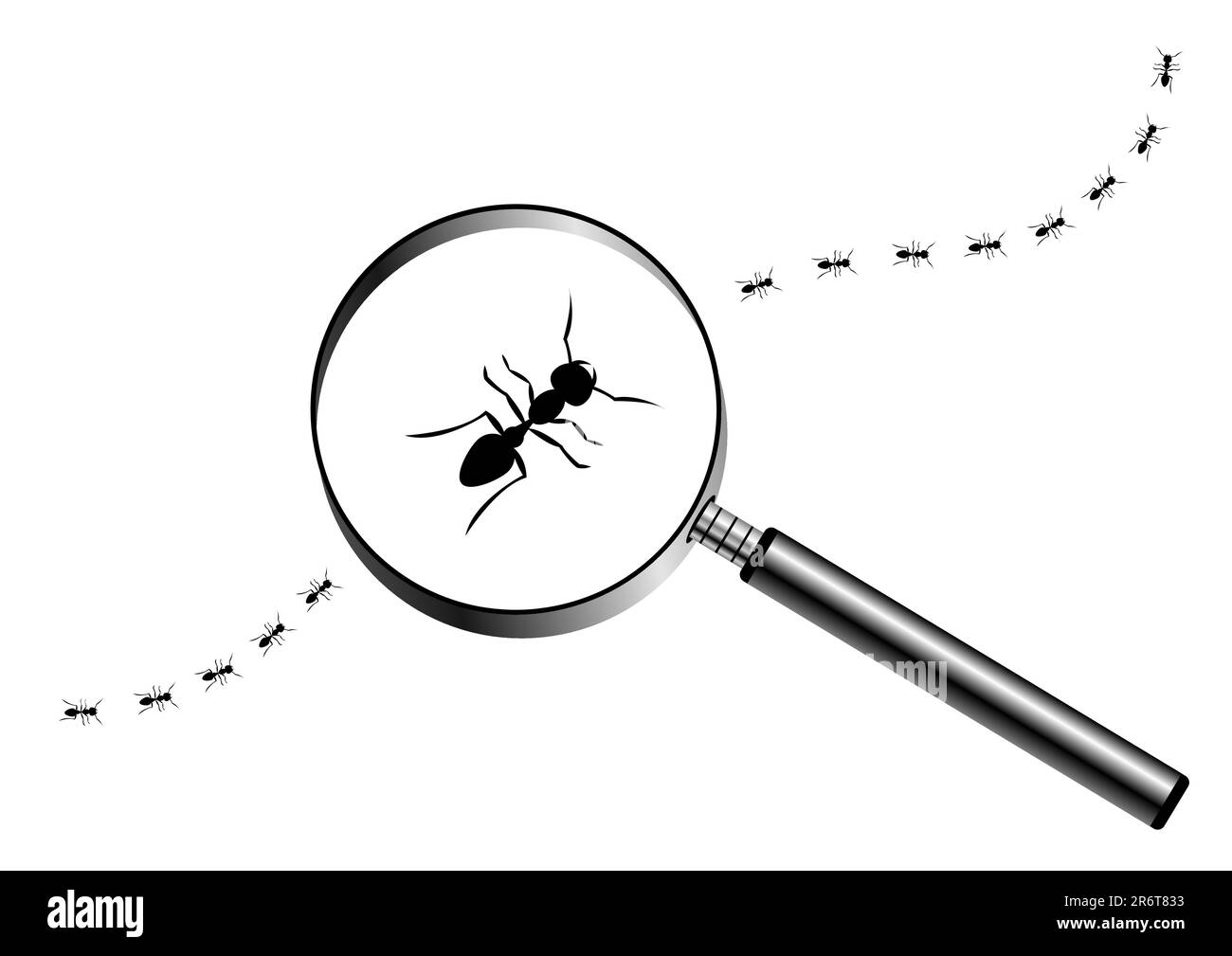 Magnifying glass insect Cut Out Stock Images & Pictures - Alamy