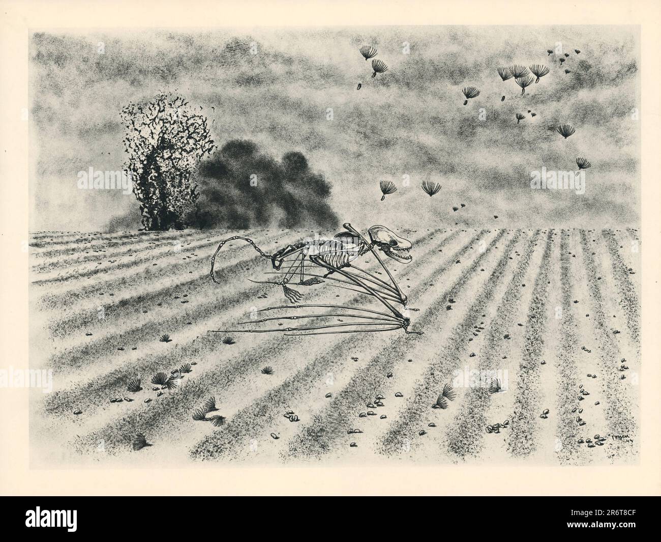 Jindrich heisler hi-res stock photography and images - Alamy